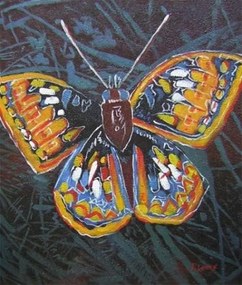 Motýl - 120 x 90 cm