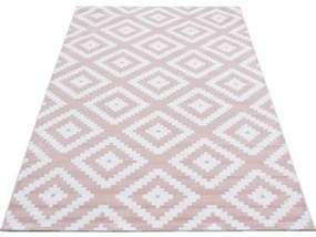 Ayyildiz koberce Kusový koberec Plus 8005 pink ROZMĚR: 120x170