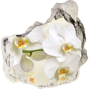 Wallmuralia Samolepící nálepka fototapeta Orchidej 75x75 cm