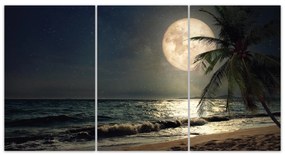 Malvis ® Obraz Pláž s palmou při měsíci Velikost: čtverec - 50x50 cm