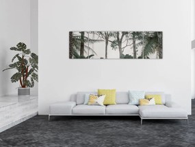 Obraz - Jungle v ranní mlze (170x50 cm)