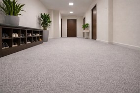 Vorwerk, Metrážový koberec Bingo 5Y91 světle šedý, na míru, šíře 4m, šedá, filc, chodba / předsíň