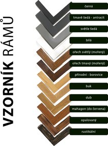 WOODILO Obraz ze stabilizovaného mechu a rostlin | 202602 Rozměr obrazu: 80x80 cm, Barva rámu: Černá, Síla rámu (pohledová): 2,5 cm
