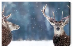Obraz Dva Jeleni V Zimním Lese Nedostatek Nedostatek Přírodní plátno 40x30