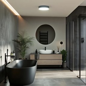 Brilagi - LED Koupelnové stropní svítidlo POOL LED/24W/230V pr. 30 cm IP54 černá