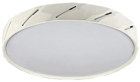 Rabalux Rabalux 71119 - LED Stropní svítidlo NESSIRA LED/25W/230V 3000K bílá RL71119