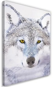 Obraz na plátně Vlk šedý Příroda Zvířata - 80x120 cm