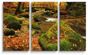 Sablio Obraz - 3-dílný Most v lese - 120x80 cm