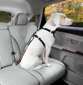 Kurgo Direct to Seatbelt Tether / Bezpečnostní autopás pro psa s upína