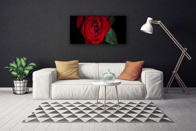 Obraz na plátně Růže 140x70 cm