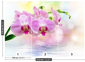 Fototapeta Orchidej růže 104x70