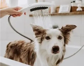 Hansgrohe DogShower - Sprchová hlavice 150 | 3 proudy | masážní trysky