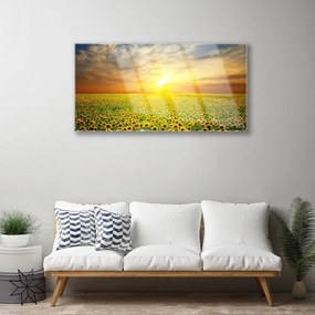 Obraz na skle Slunce Louka Slunečnice 125x50 cm