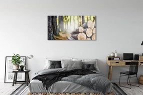 akrylový obraz Dříví prales přírodě 125x50 cm
