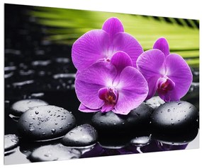 Obraz orchidejí (90x60 cm)
