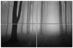 Obraz na plátně - Mlha v lese 1182QE (90x60 cm)