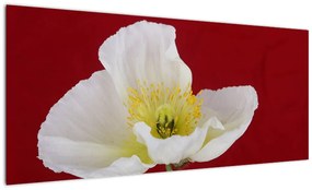 Obraz květu (100x40cm)