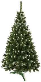 Vánoční stromek Borovice diamantová 120cm