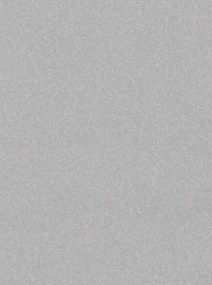 Hanse Home Collection koberce Kusový koberec Nasty 101595 Silber ROZMĚR: 80x300