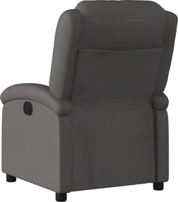 Polohovací křeslo šedé, pravá kůže 3205923