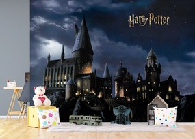 Dětská fototapeta na míru Harry Potter Bradavice | Vliesová fototapeta na zed' | DFT5P352183