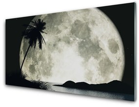 akrylový obraz Noc Měsíc Palma Krajina 100x50 cm
