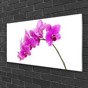 Obraz na skle Vstavač Květ Orchidej 120x60 cm