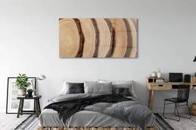 akrylový obraz plátky obilí dřeva 140x70 cm