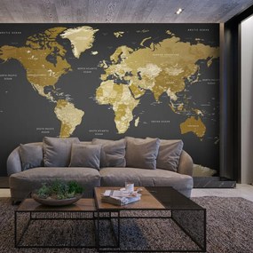 Samolepící fototapeta - Mapa světa: Moderní geografie 343x245