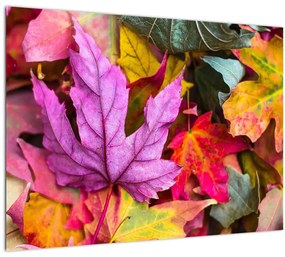Skleněný obraz - podzimní listy (70x50 cm)