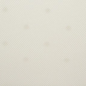 SCANquilt polštář CLIMAPUR - s paměťovou pěnou 50 x 70 cm