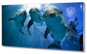 Wallmuralia Foto obraz sklo tvrzené Tři delfíni 100x50