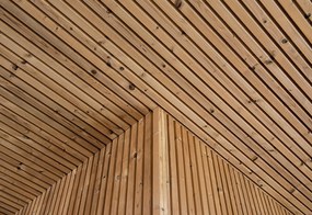 Exteriérový dřevěný obkladový SLAT panel 33-11 masiv 2500x140x32 mm