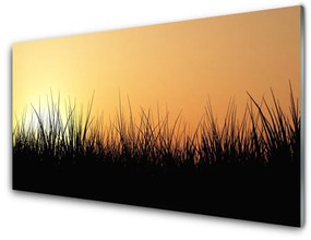 akrylový obraz Plevel Příroda Rostlina 100x50 cm