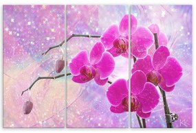 Obraz na plátně třídílný, Základní abstrakce orchidejí - 90x60 cm