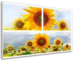 Malvis ® Obraz zářivá slunečnice Velikost: 120x90 cm