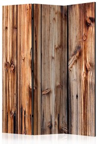 Paraván - Dřevěná komora 135x172