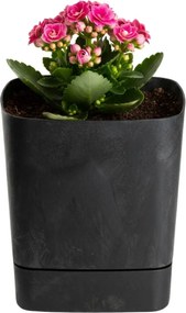 Plastový květináč s podmiskou Cubi 16x16 cm - výběr z 6 provedení