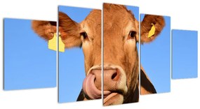 Obraz krávy