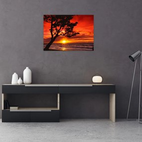 Skleněný obraz - Západ slunce (70x50 cm)