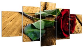 Obraz růže (150x80 cm)