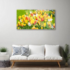 Plexisklo-obraz Tulipány Květiny Příroda 100x50 cm