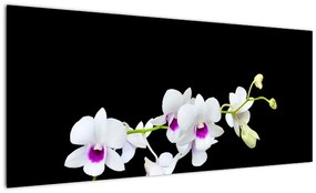 Květina - obraz (100x40cm)