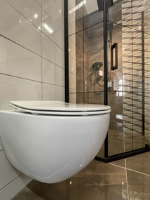 Aplomo Peonia rimless WC závěsné se sedátkem a doplňky, bílá