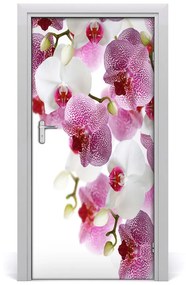 Fototapeta na dveře Orchidej 85x205 cm