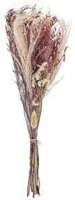 Kytice sušených květin 50 cm růžová ZAMORA  Beliani