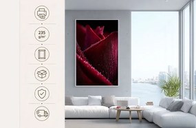 Sametový detail - obraz - Makro růže s kapkami vody 47 - A4 – 210 × 297 mm - 149 Kč