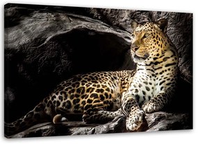 Gario Obraz na plátně Leopard na skalách Rozměry: 60 x 40 cm