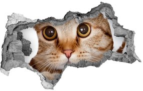 Wallmuralia Díra 3D fototapeta nálepka Kočka 95x73 cm