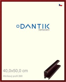 DANTIK rámeček 40x50 | ALU profil 7269 Červená Rubin broušená (Sklo Čiré)